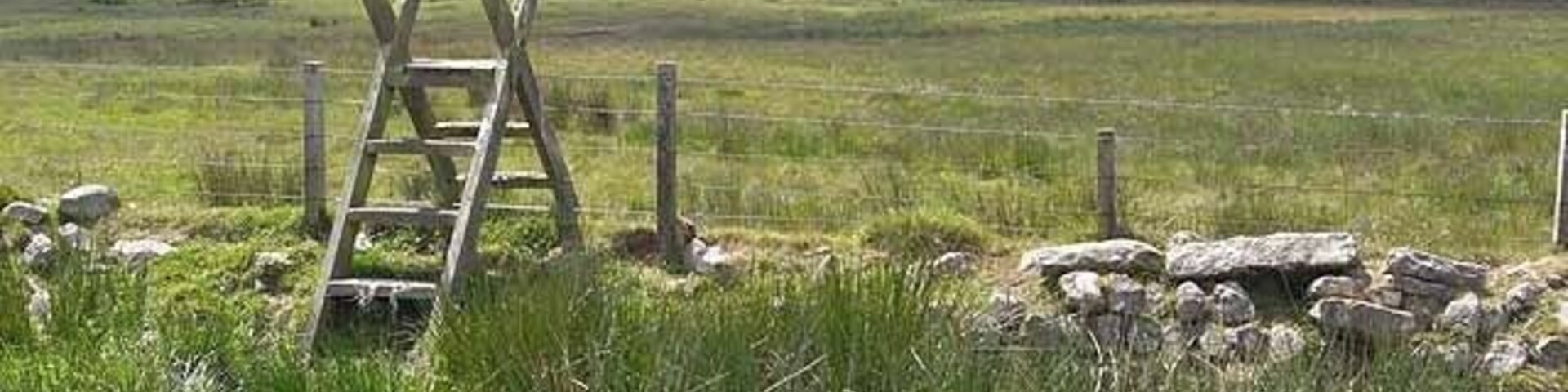 Ladder stile, moor and plantation near Knowesgate On the St Oswald's Way http://www.stoswaldsway.com/home.html, a 156 Km long trail which runs from Heavenfield near Hexham to Holy Island on the Northumberland coast (although more commonly walked in the opposite direction).