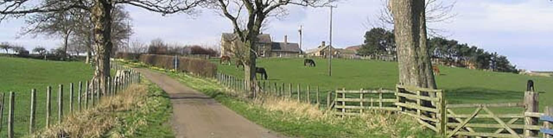 The road to Wooden Farm Wooden Farm is centre right beyond the trees.