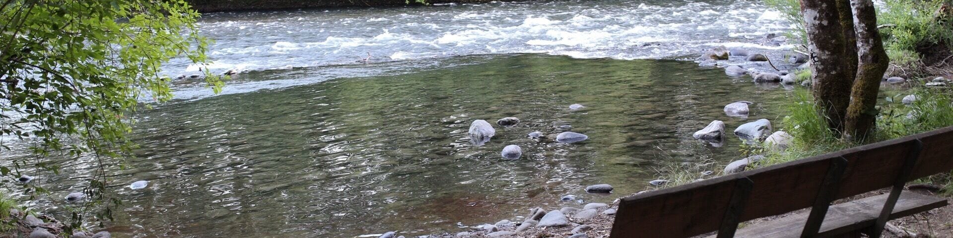 One of the best campgrounds in Oregon! Great river sites, RV sites, and of course Floyd and Opal! Family friendly with full amenities and all just a little over an hour from Portland area!