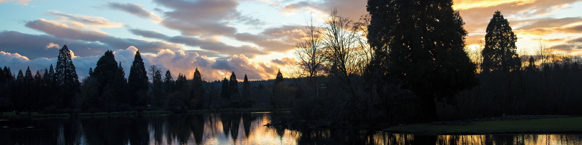Um lago tranquilo refletindo árvores e um céu ao pôr do sol.