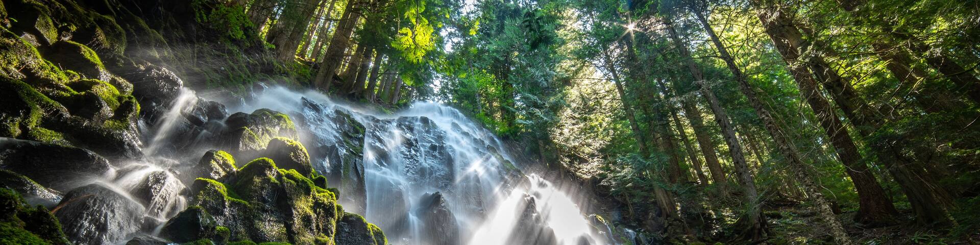 A necessary water stop for backpackers on the Timberline Trail, this cascading waterfall near Mt. Hood reveals the volcanic rock in the area often hidden by soil and vegetation.