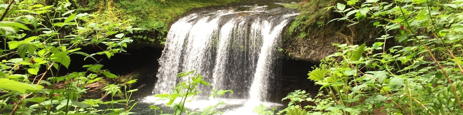 Nice little hike just outside of Scott's Mill, OR.