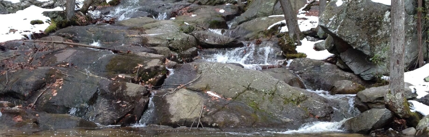 It's never too cold for a hike! #snow