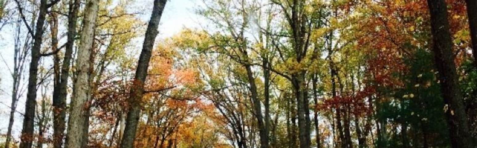 Best fall photo I've ever taken 😊 #Bestof5