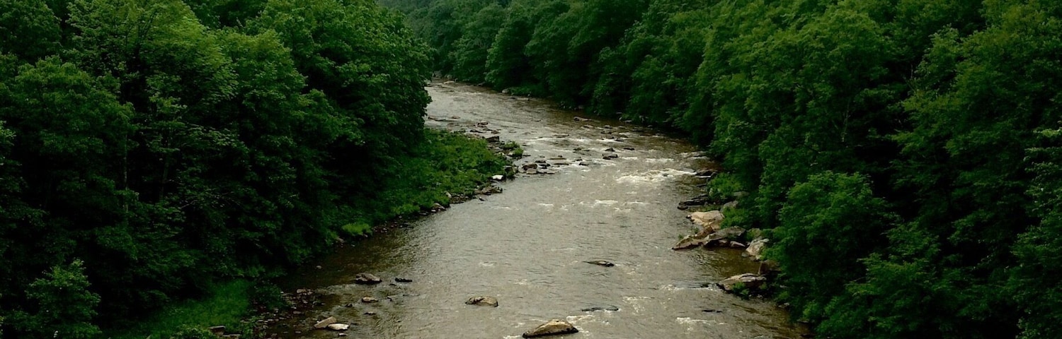 Along the way of the Great Allegheny Passage.