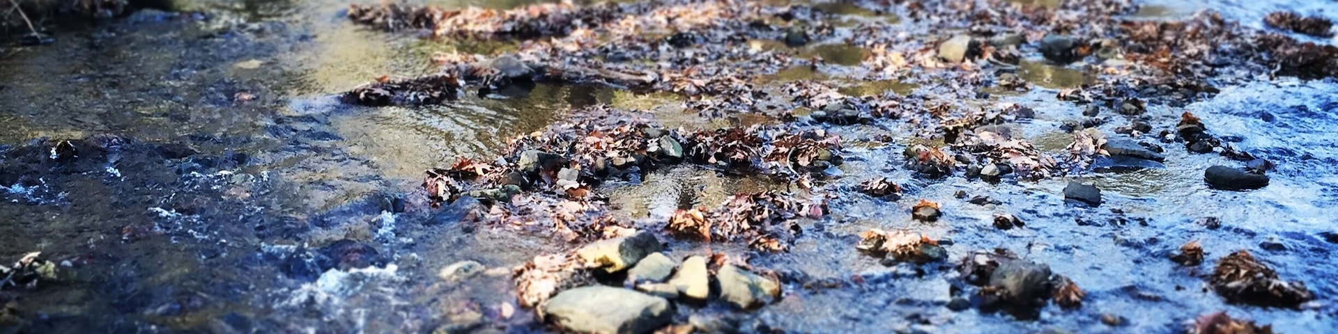 Local hiking is the best!