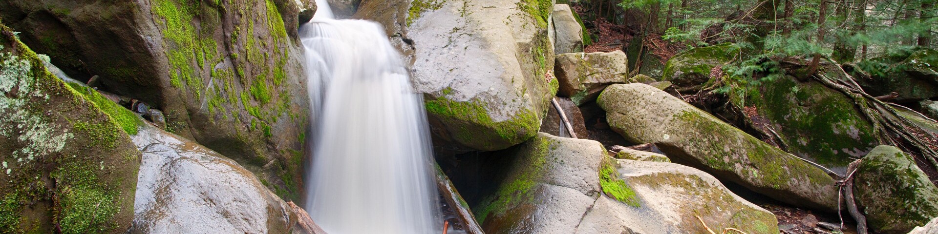 Uma cascata jorrando sobre rochas cobertas de musgo em uma área arborizada.