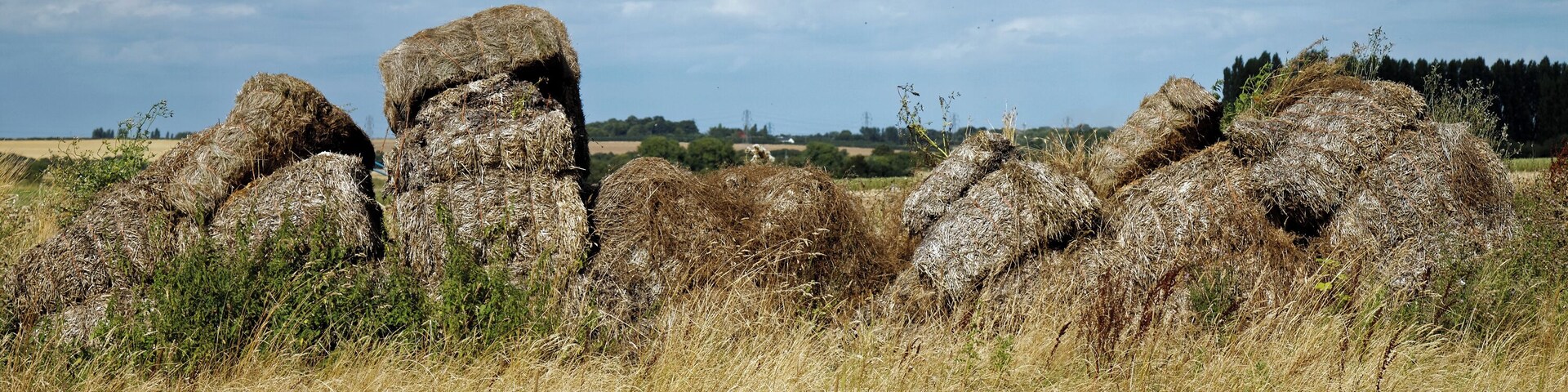 Rotting bales of straw from the Church Walk public footpath at the east of All Saints Church, West Stourmouth, in the civil parish of Stourmouth in Kent, England. Camera: Canon EOS 6D with Canon EF 24-105mm F4L IS USM lens. Software: RAW file lens-corrected, optimized, perhaps cropped, and converted to JPEG with DxO OpticsPro 11 Elite, and likely further optimized with Adobe Photoshop CS2.West Stourmouth Kent England