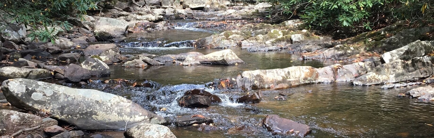 Amazing to hike