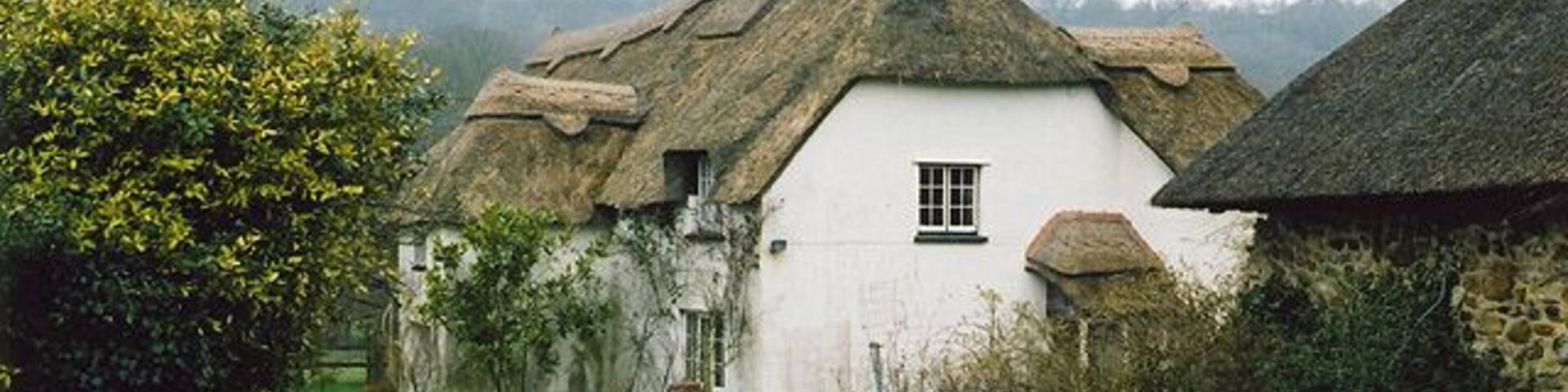Uma casa branca com telhado de palha, rodeada por vegetação e um portão.