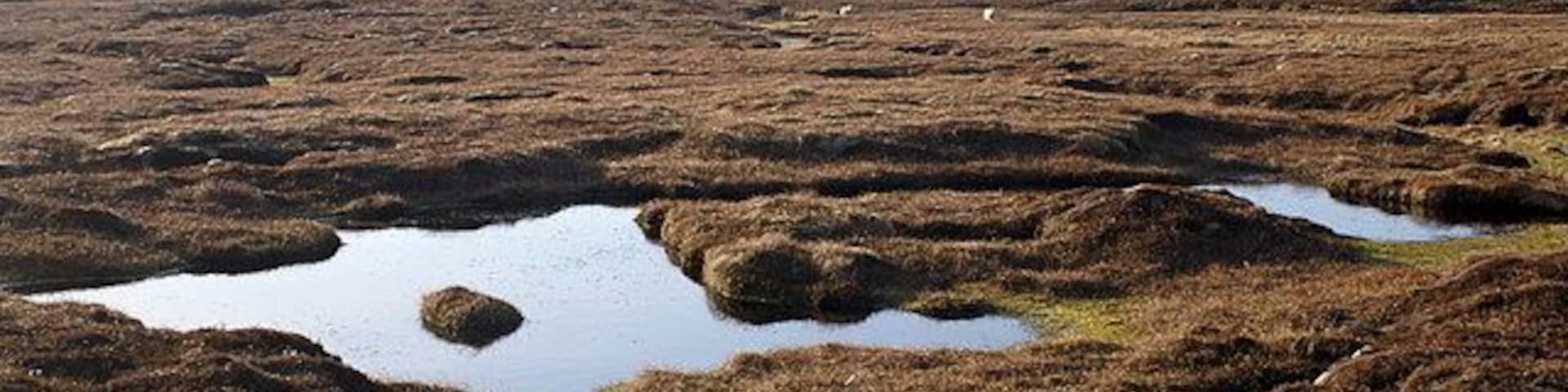 View towards Muckle Bratt Houll A small moorland pool beside the old Dalsetter to Cullivoe road.
