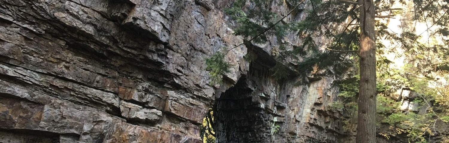 Um penhasco rochoso com a entrada de uma gruta, uma estrada e uma árvore.