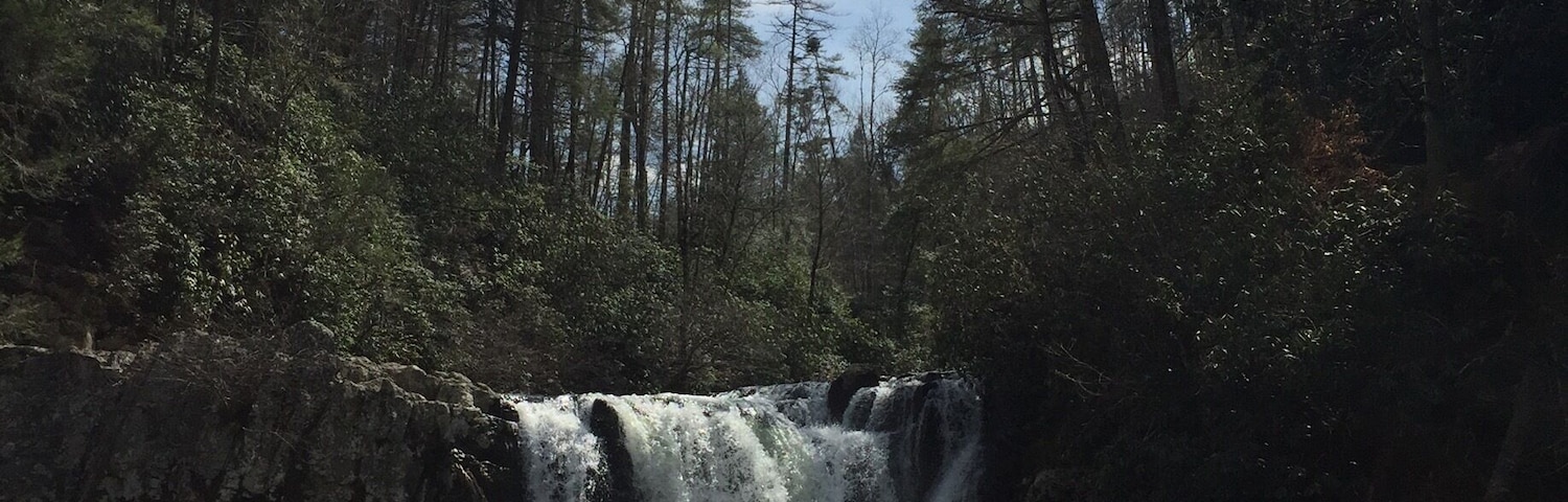 It's been over 25 years...