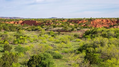 Paisagem com vegetação verde e formações rochosas avermelhadas.
