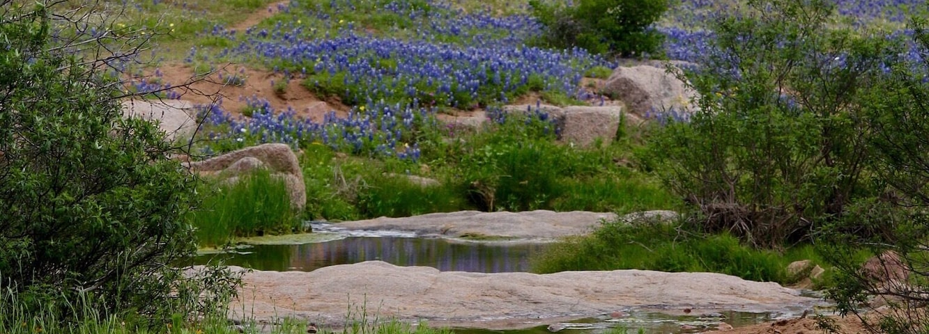 If your already planning road trips for next year you should head to the Texas Hill Country for the wildflowers in bloom! Google websites that will tell give a status of the blooms and best roads to see them. It changes each year depending on the ☔️ rain.
#texasHillCountry #wildflowers #canonusa
#roadtrip
#landscapes
#bluebonnets