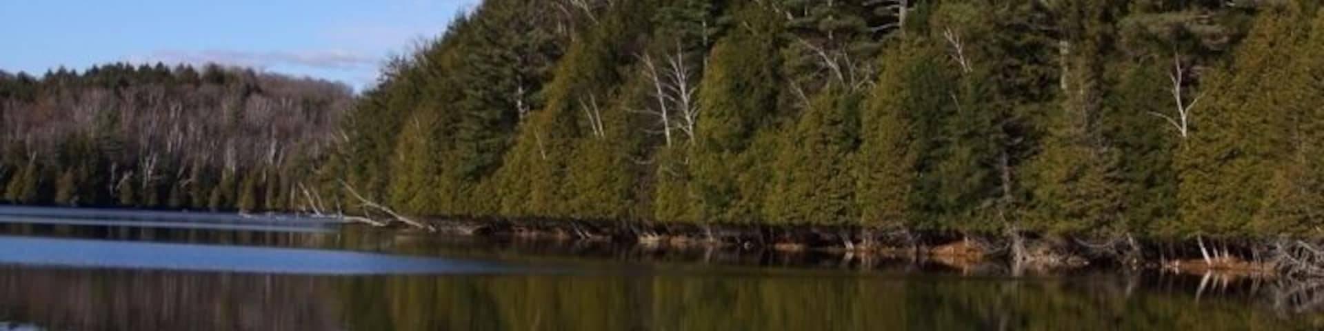 Private pond in Vernont #treetrove