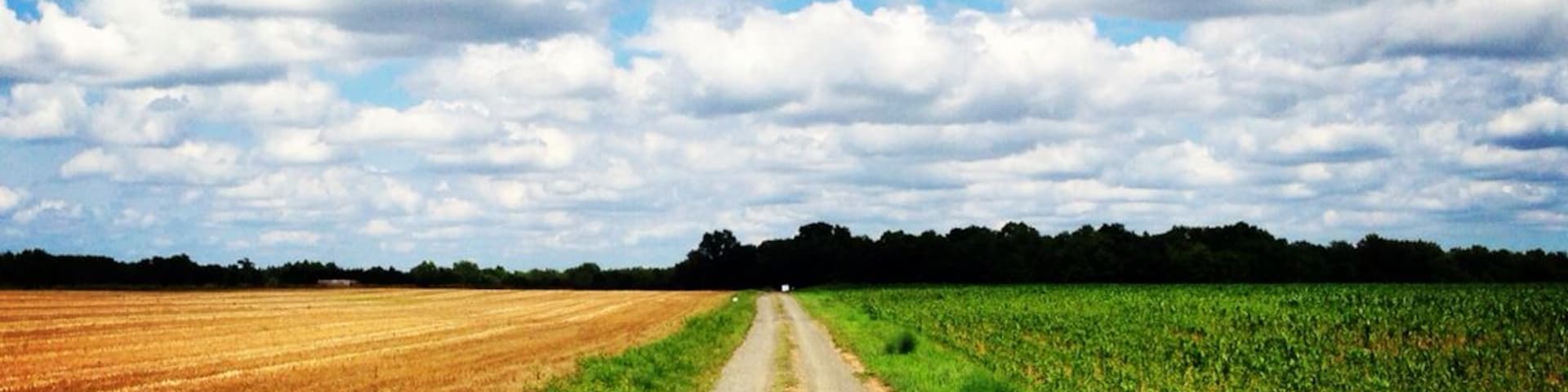 #TroveOn
Pick your own Blackberries...so fun! I'm ready to have summer again.
#BestOf5