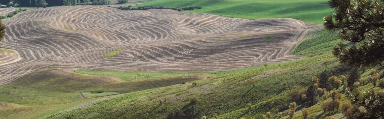 Uma vasta paisagem com colinas ondulantes, um grande campo aberto e florestas densas ao fundo.