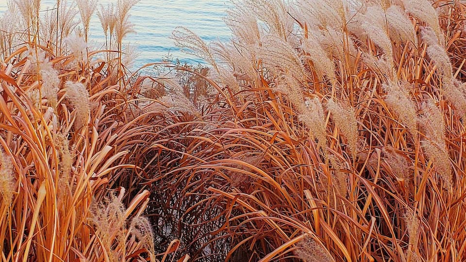 My favorite spot to go at sunset