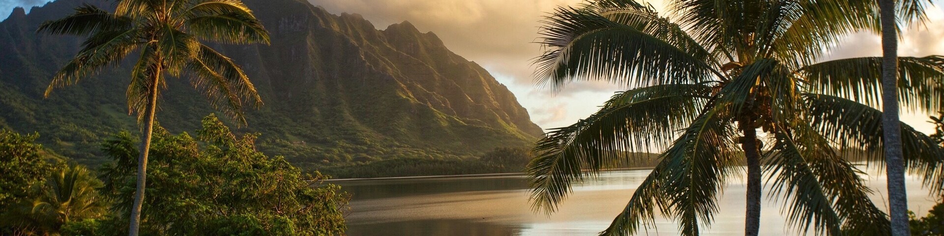 Sunrise east side Kahaluu Hawaii.
#☀️ #☁️ #🌊 #🌅 #👋 #⛰ #sky #landscape #water #clouds #summer #sea #travel #cloud #horizon #sun #tree #scenery #ocean #beach #coast #lake #vacation #scenic #sunny #reflection #nature #travel #instagood #summer #green