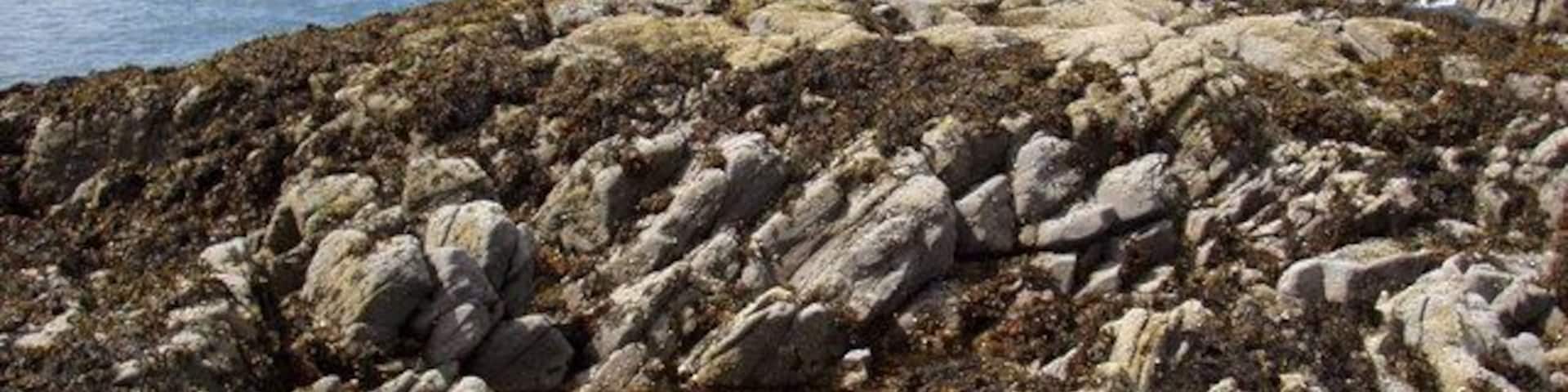 Rubh' a' Choin Mostly sea this square, and a good proportion of the land in the square in the picture. Inverasdale across Loch Ewe in the background.