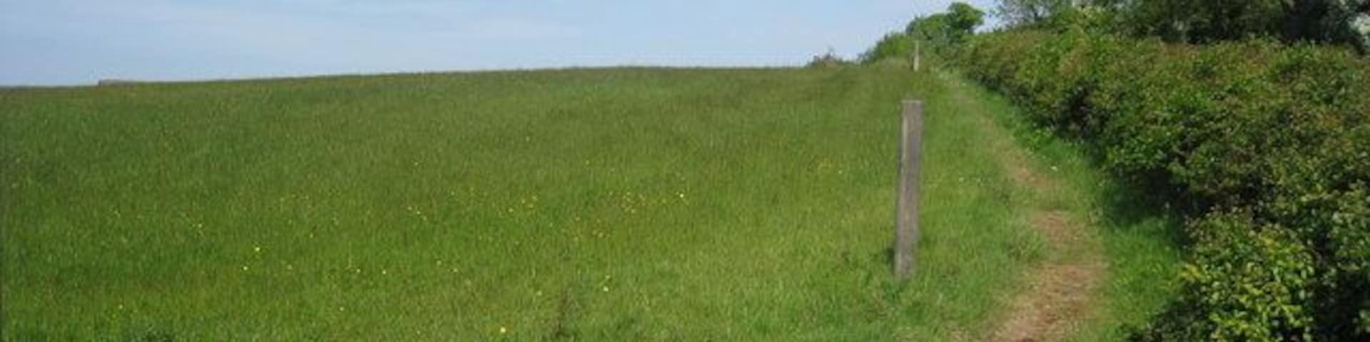 Field near Whitepost Farm