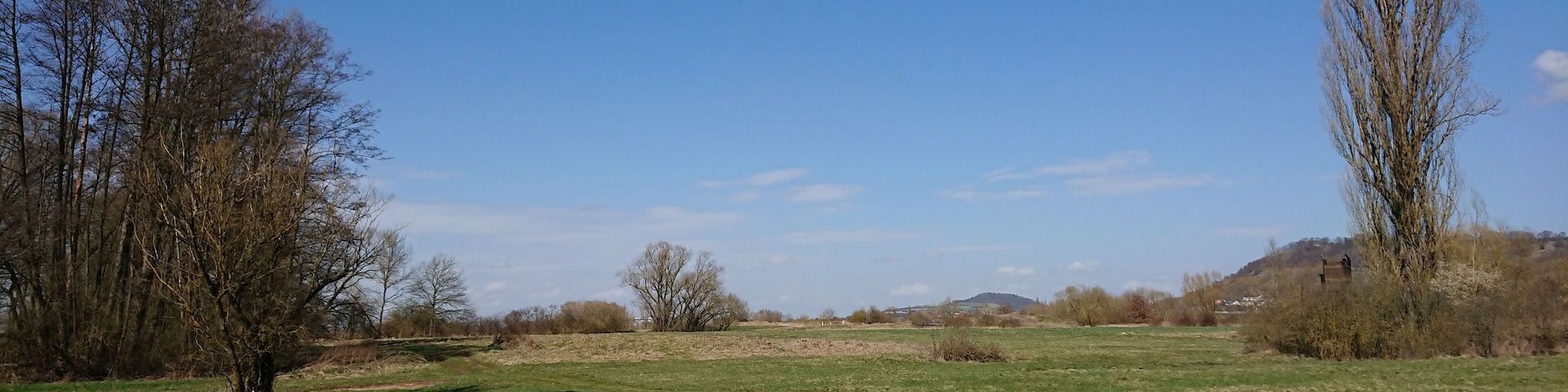(NSG:BY-NSG-00408.01)_Altmain und Sandmagerrasen bei Limbach