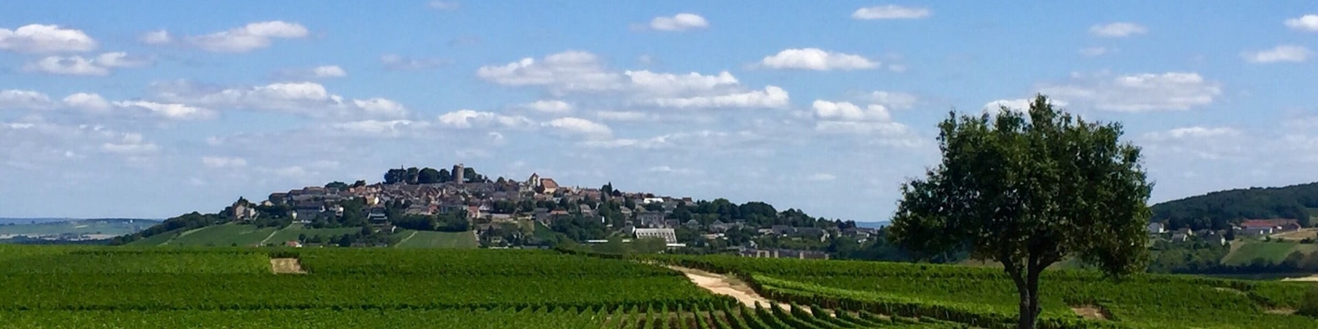 View of Sancerre from the vines. Everywhere around this region is beautiful, especially towards the end of summer when the grapes are ripening 💚