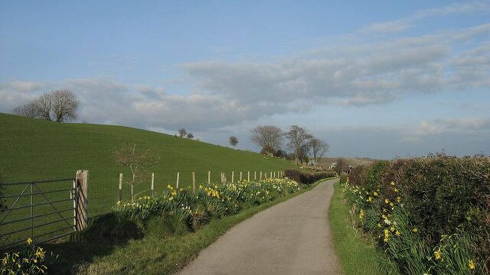 Maesbach Farm lane. Farm lane leading to Maesbach Farm, near Treforest, South Wales.