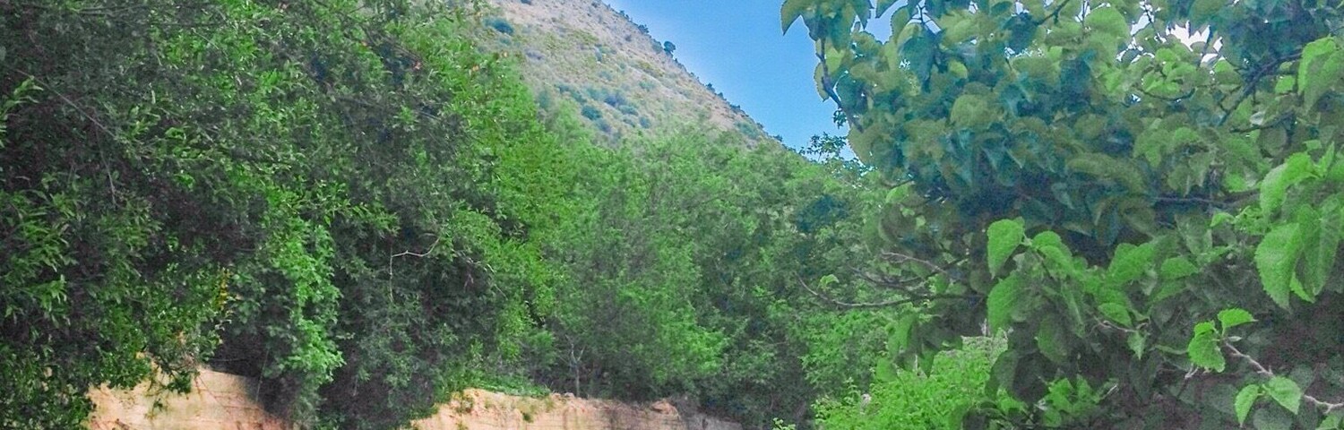 Road heading to the farmland
#Roadtrip