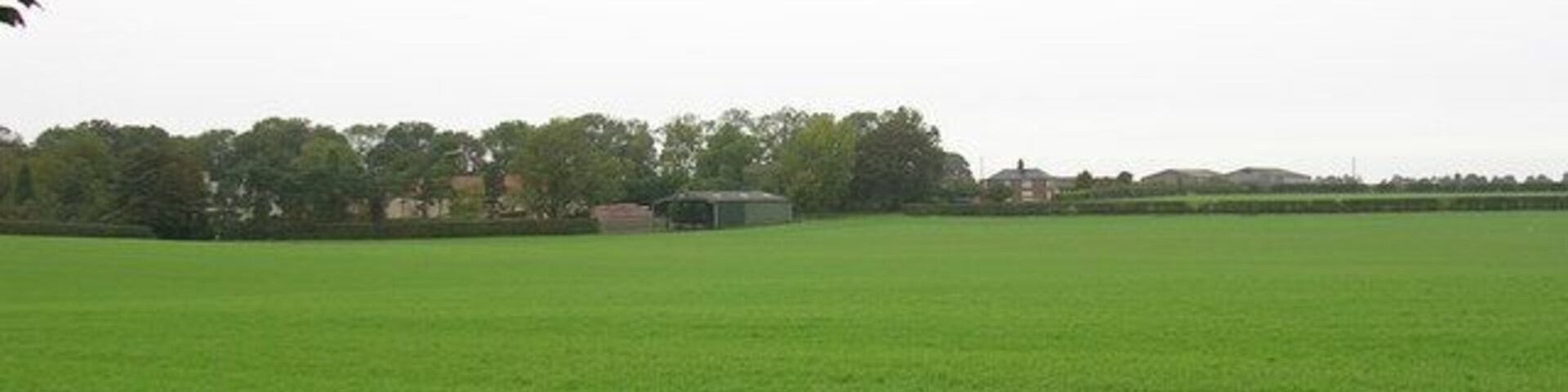 Um vasto campo verde com um celeiro ao longe e árvores em primeiro plano.