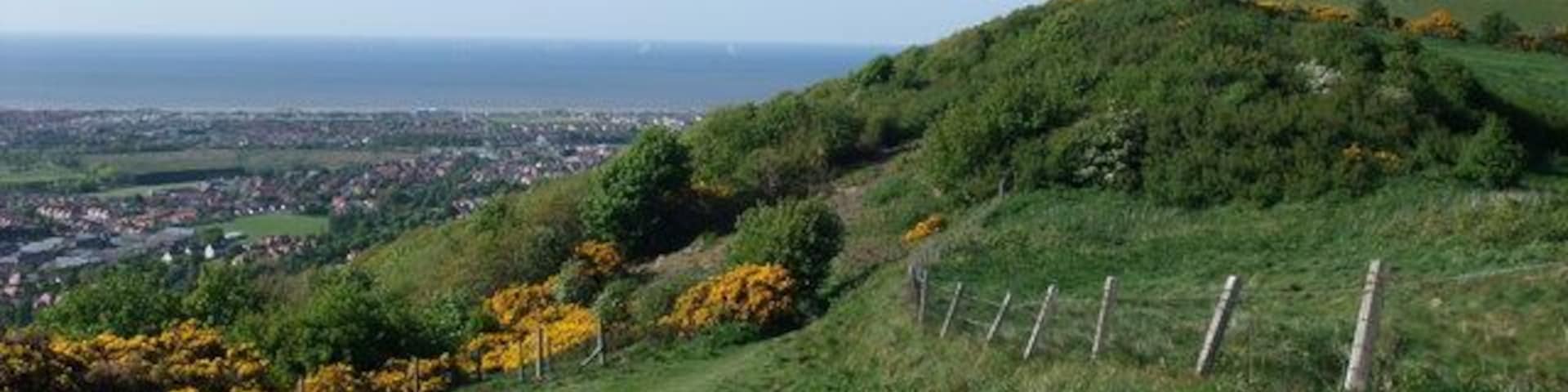 Uma encosta gramada com um caminho, flores amarelas e uma vista distante de uma cidade e do mar.