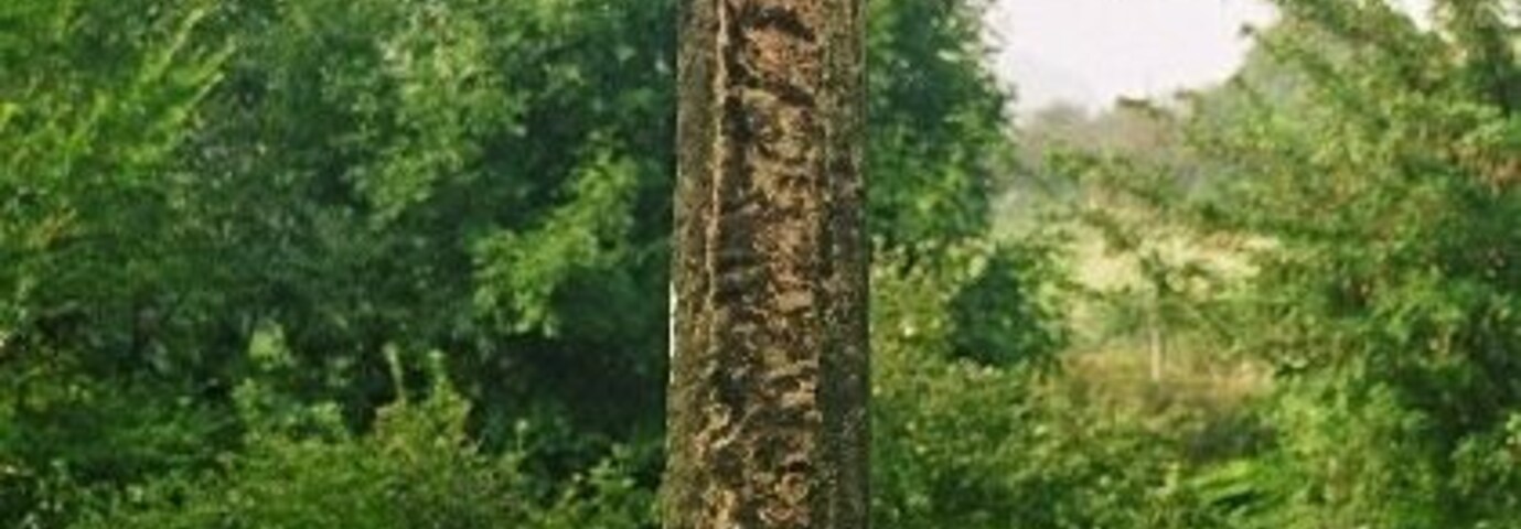 14th-century stone cross in St Michael's parish churchyard, Trelawnyd, Flintshire. The head portrays two crucifixion scenes.