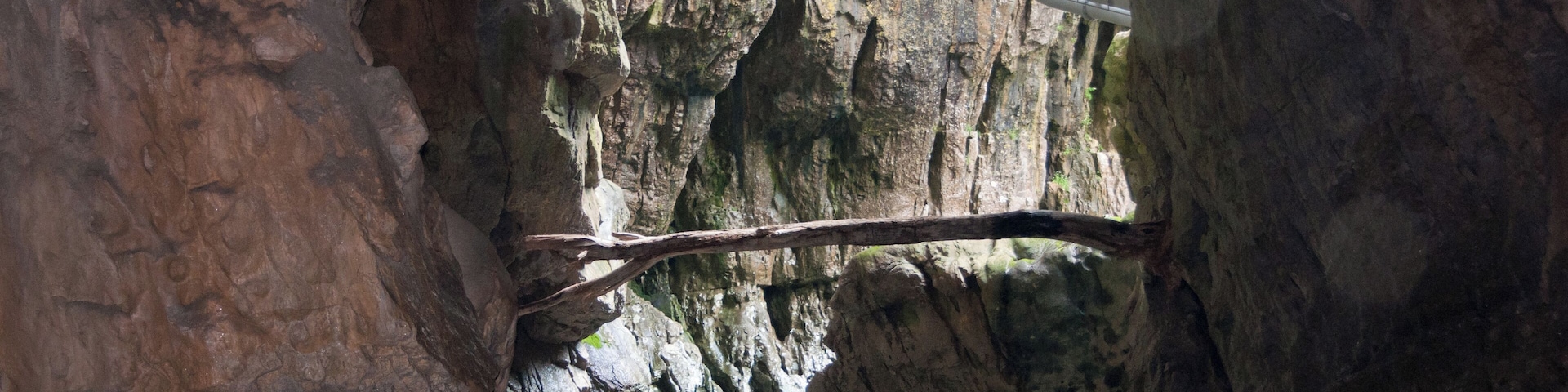 The caves occasionally flood, and the Reka River carries trees.