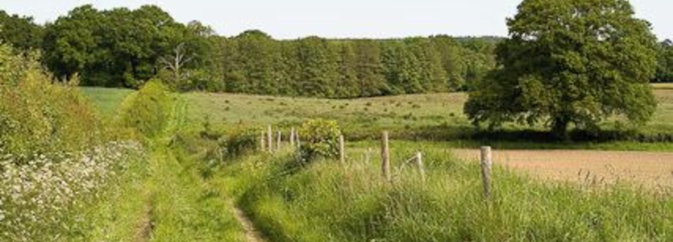 Footpath approaching Blundell's Copse. The woodland to the right of the track is not shown on OS maps. Land to the left of this track was designated in 2009 to have 6,000 houses built on it, see 1329022.