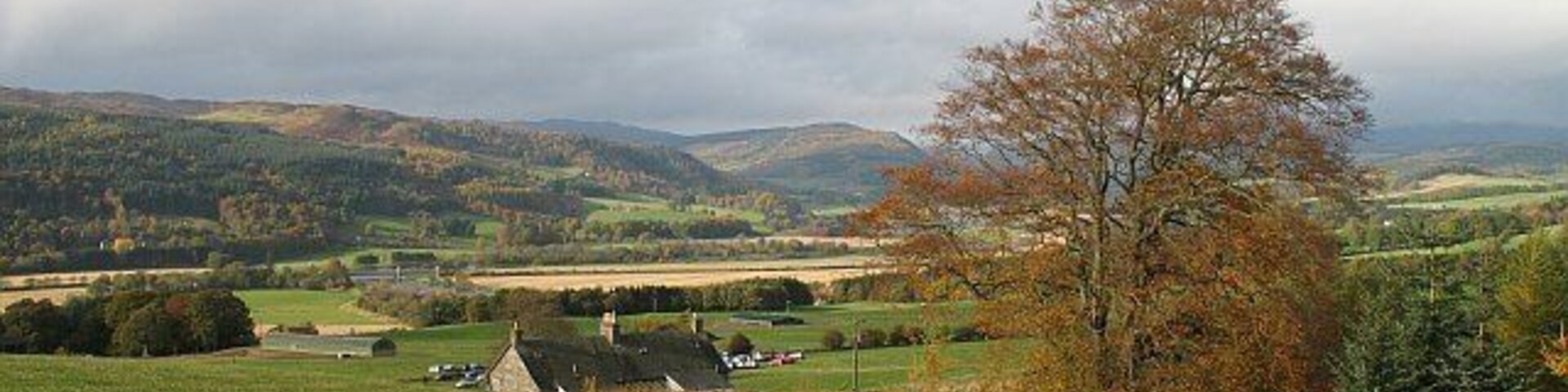 Field, Rotmell Edge of woodland above Rotmell Cottages with a fine view up the Tay.