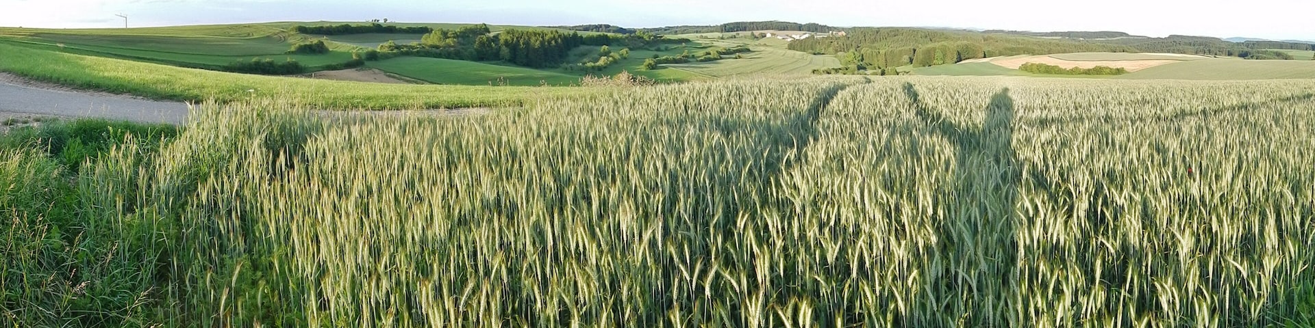 Ausblick bei Emmingen-Liptingen