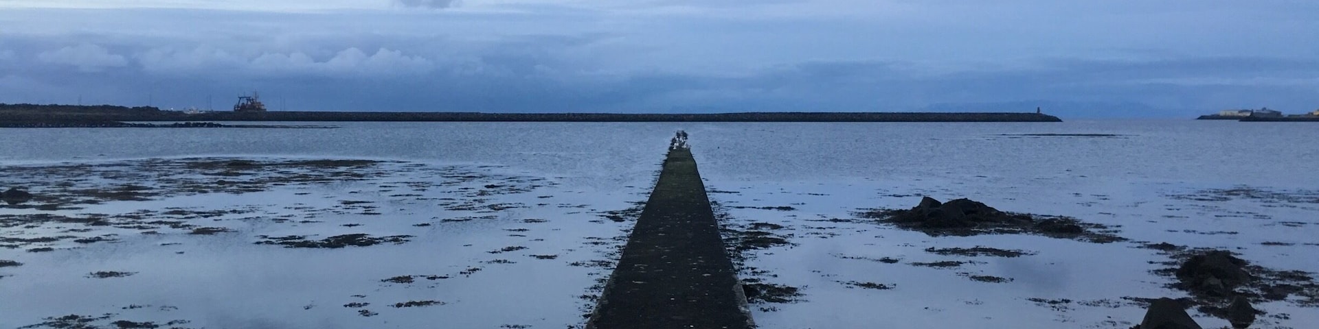 Beautiful evening