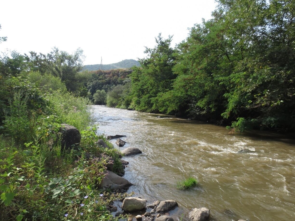 Um rio serpenteando por uma área arborizada, com pedras e vegetação nas margens.