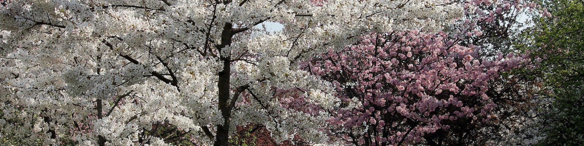 Frühling Uni Göttingen