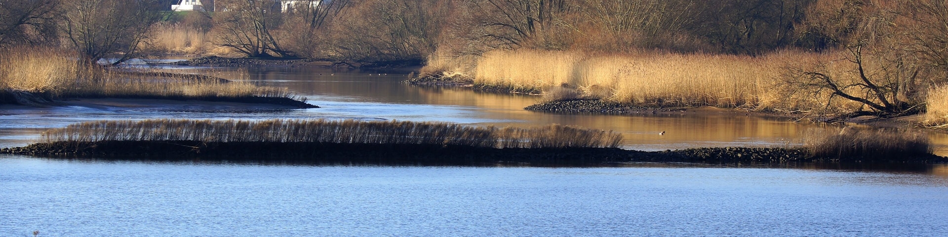 Naturschutzgebiet Zollenspieker, Hamburg