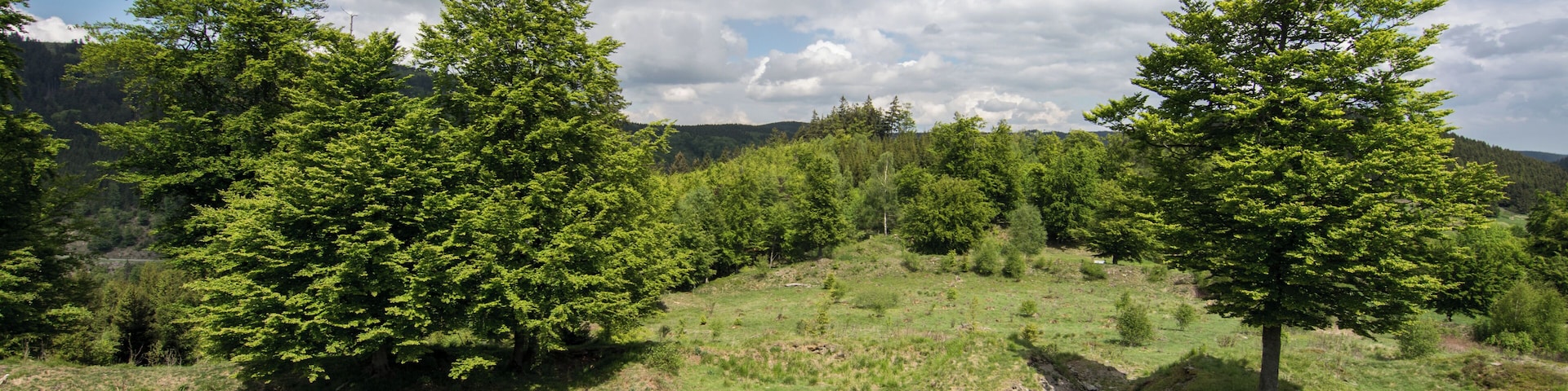 This image was uploaded as part of Wiki Loves Monuments 2015.