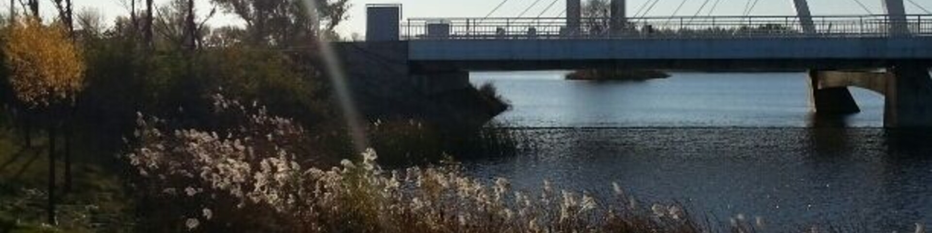 Shenyang Autumn