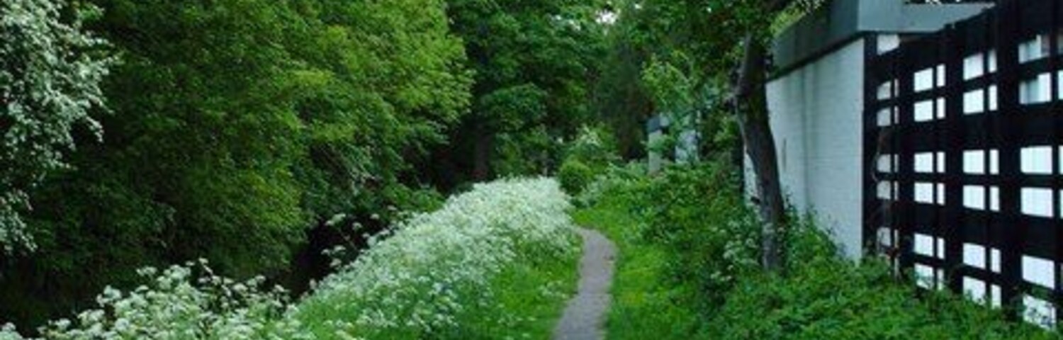 Caminho estreito ladeado por vegetação exuberante e uma cerca branca.