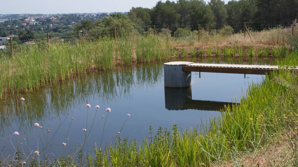 This is a photography of a Site of Community Importance in Spain with the ID: