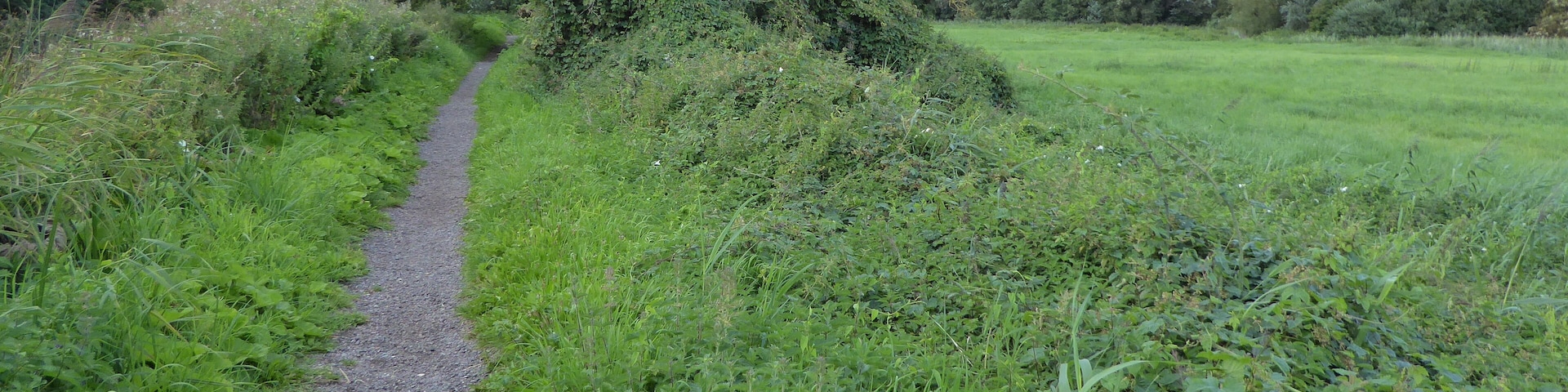 Bramford Meadows is a Local Nature Reserve north-west of Ipswich in Suffolk.