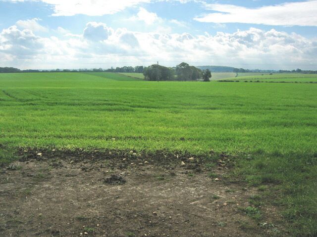 Um vasto campo verde com um caminho de terra em primeiro plano e uma linha de árvores à distância sob um céu parcialmente nublado.