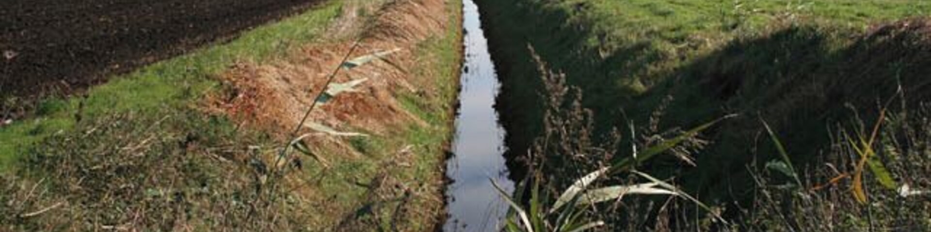 Um canal de água estreito em um campo com terras cultivadas adjacentes.