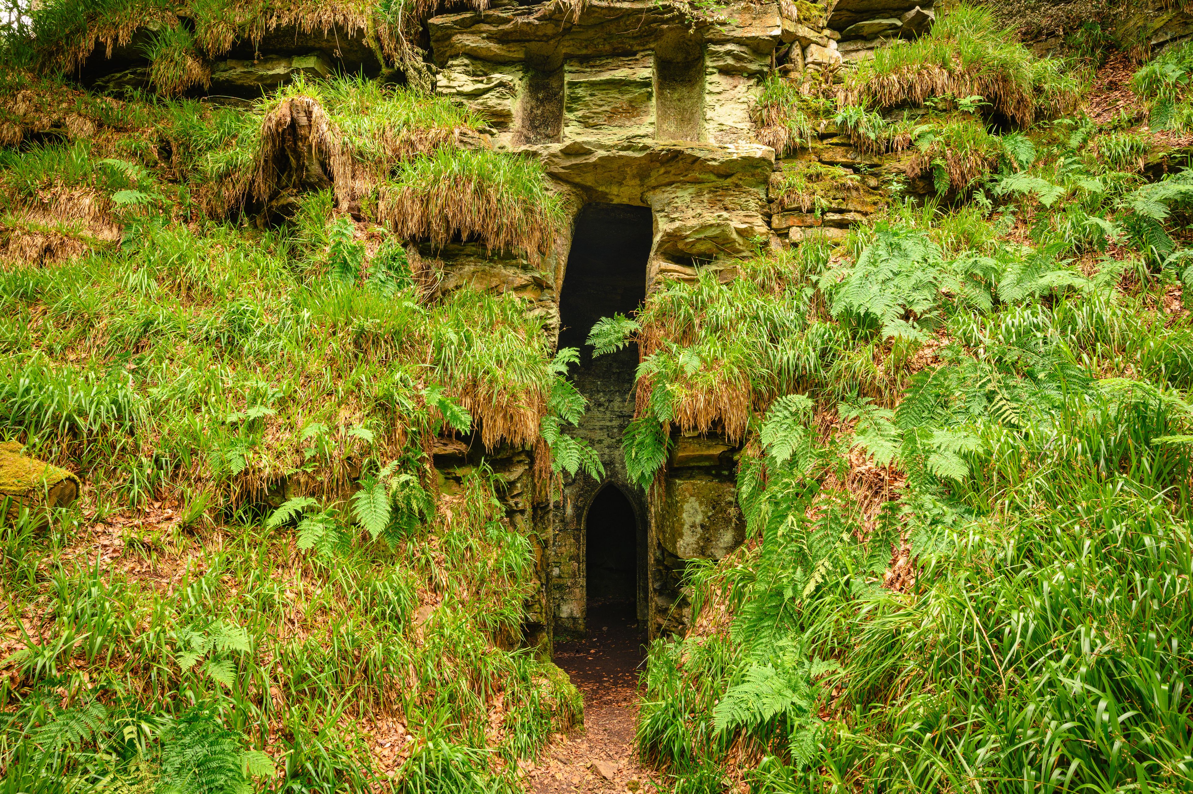 Entrada de caverna natural rodeada por vegetação exuberante e samambaias.