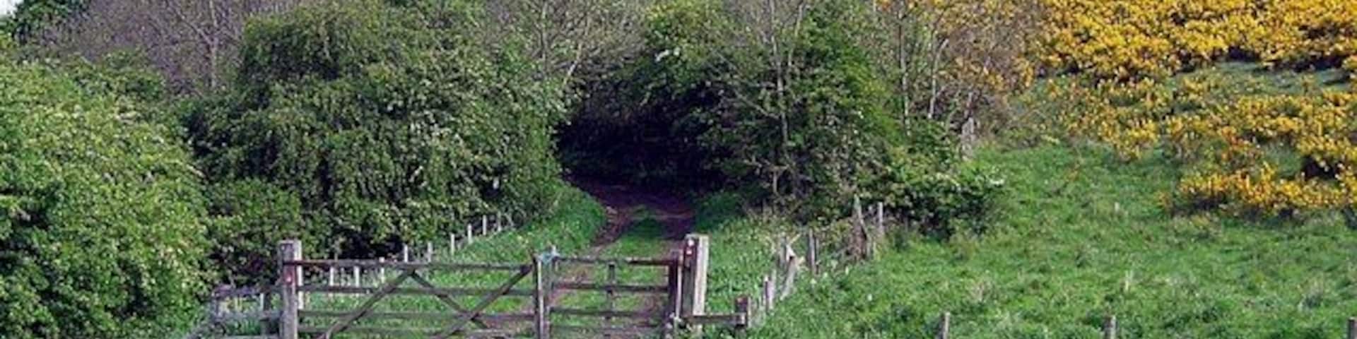 Bridleway from Cassop Vale to Old Cassop